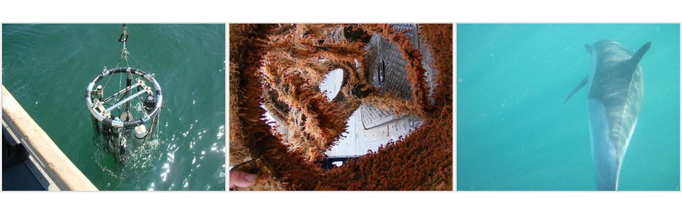 Western Channel Observatory