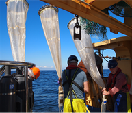 Western Channel Observatory